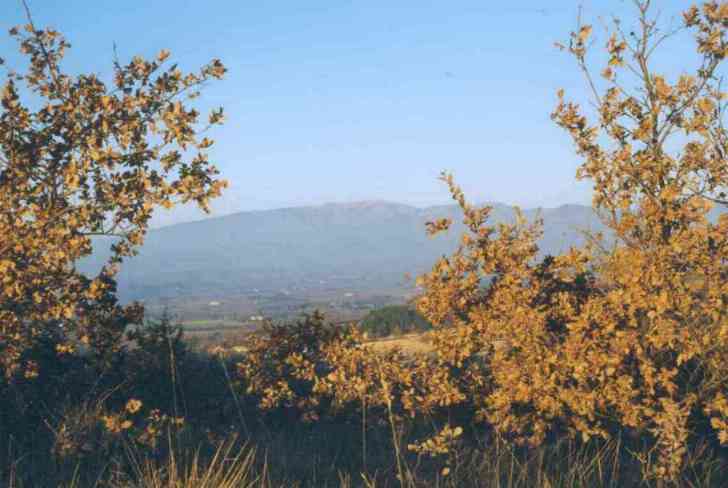 Sol Argilo Calcaire Caillouteux